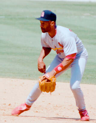 Baseball Photography by Ron Hewitt, Jr.
